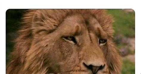 The Golden Code Imgur