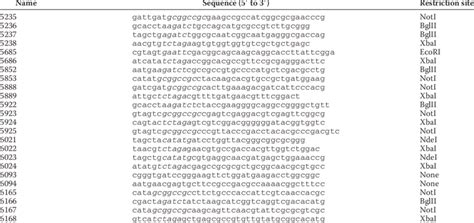 Primers Used In This Study Restriction Sites Are Italicized