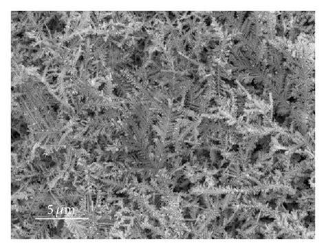 The Sem Micrograph Of Ag Nanostructure Electrochemically Deposited In Download Scientific