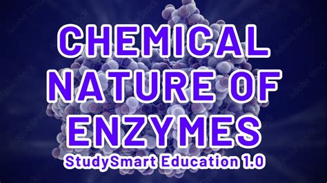 Enzymology Lec 4 The Chemical Structure And Function Of Enzymes