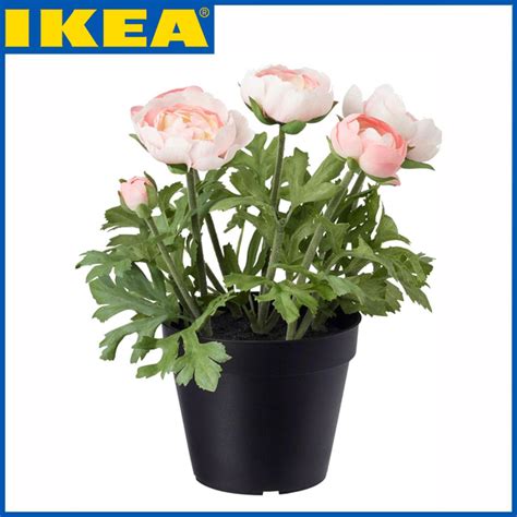 Купить Искусственное растение, лютик FEJKA IKEA/ИКЕА по выгодной цене в ...