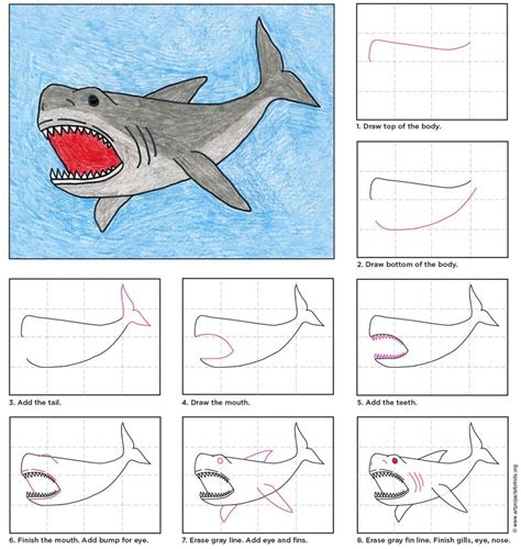How To Draw A Megalodon Shark Np