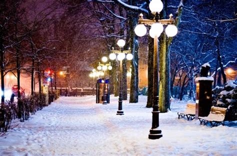 紧急通知暴雪来袭！全国多地停运、停课、错峰上下班