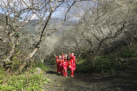 眉原部落｜旅遊｜看見‧太陽