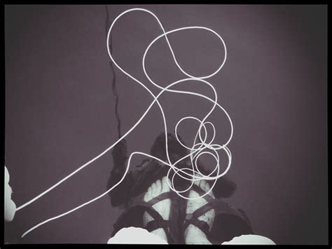 Stokes State Forest Flickr