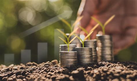 Contabilidade Rural O Que é Preciso Saber Prisma