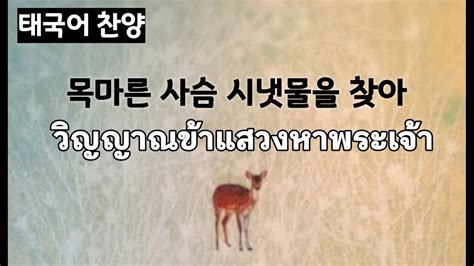 태국어 찬양 목마른 사슴 시냇물을 찾아 วิญญาณข้าแสวงหาพระเจ้า Youtube
