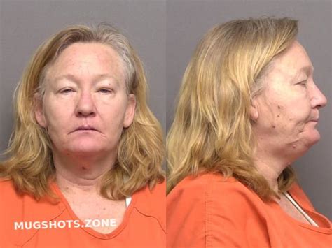 Basgall Tina Louise 05012023 Saline County Mugshots Zone