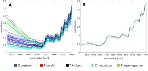 A Raw Fourier Transform Near Infrared Ft Nir Spectra Triplicate