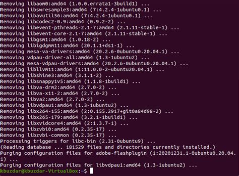 How To Install Pepper Flash On Ubuntu LinuxWays