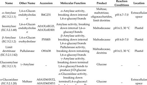 Major Enzymes Identified In The Starch Degradation During Maize Seed