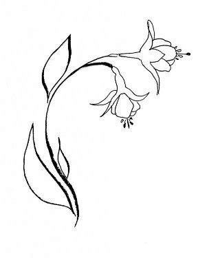 Flower Trace Clipart Best