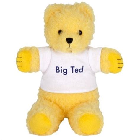 Buy Play School Big Ted Mini Beanie 18cm Toys Sanity