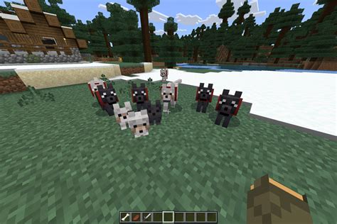 How To Tame A Minecraft Wolf 10 Steps Instructables