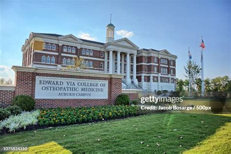 Vcom Photos And Premium High Res Pictures Getty Images
