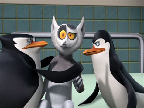 How Do You Feel About Skipper Owning A Gun Penguins Of Madagascar
