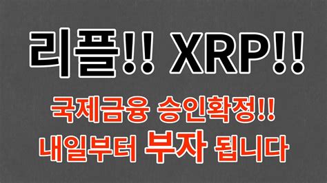 리플 코인 미쳤따 국제금융승인확정 여러분은이제 부자됐습니다 Youtube
