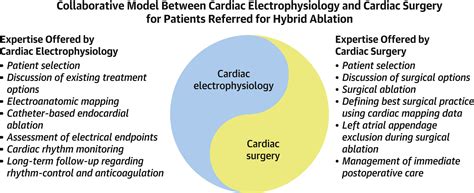 Combined Minimally Invasive Surgical And Percutaneous Catheter Ablation