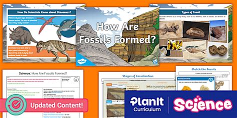 Mary Anning Fossils Science How Fossils Are Formed Ks2
