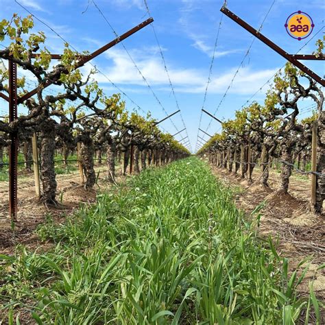 John Kempf Posted On Linkedin