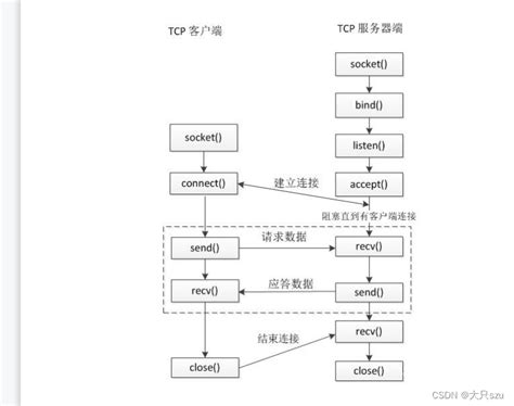 linux高并发服务器之第四章 网络编程 linux高并发网络服务器源代码 csdn博客