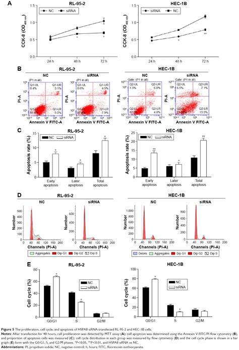 Identification Of Hspa8 As A Candidate Biomarker For Endometrial Carci