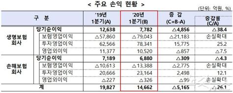 위기의 보험사1분기 실적도 암울 노컷뉴스