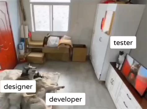 Video Software Tester Salaries Unlocking The World Of Software