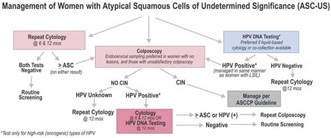 Asc Us Vs Asc H What Is The Difference Dna Test Ascus Pap Smear