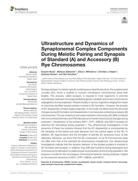 Pdf Ultrastructure And Dynamics Of Synaptonemal Complex Components