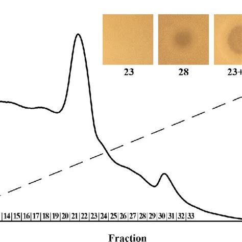 Reversed Phase Chromatography Elution Profile Of The Sample Obtained By