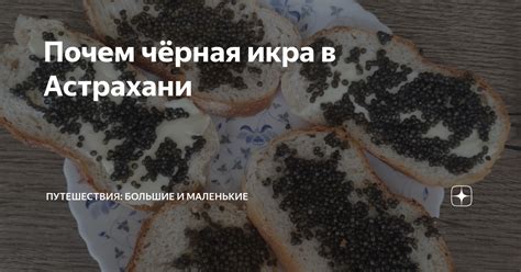 Почем чёрная икра в Астрахани Путешествия большие и маленькие Дзен