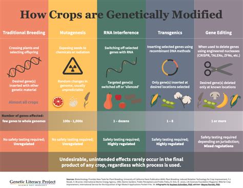 Are Genetically Modified Foods Safe Dance Nutrition