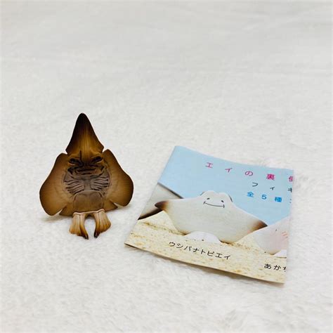 【新品未使用】エイの裏側かわいいフィギュア エイの干物 ガチャガチャ メルカリ