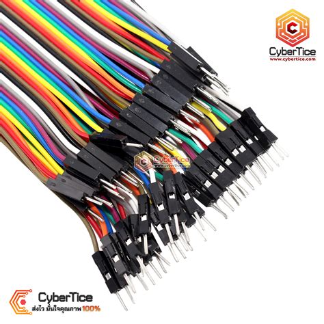 สายจั๊มเปอร์ 10cm ผู้ ผู้ Arduino Esp32 Esp8266 40 เส้น Jumper Wire ขาย Arduino อุปกรณ์