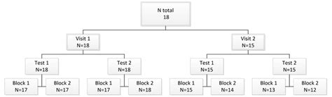 Flow Chart Of The Number Of Participants That Performed The Tests Per Download Scientific