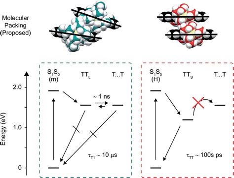 Proposed Molecular Packing And State Diagram Describing Singlet Fission Download Scientific