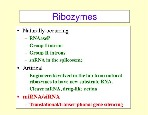 Ppt Rna Structure Prediction Powerpoint Presentation Free Download Id 3582937