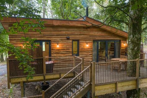 Next Level Forest Bathing Hn Magazine