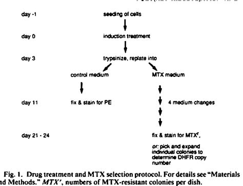 Figure 1 From Potentiation Of Carcinogen Induced Methotrexate Resistance And Dihydrofolate
