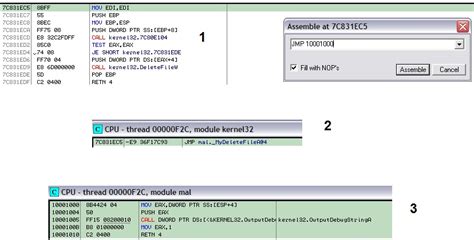 Windows Api Hooking
