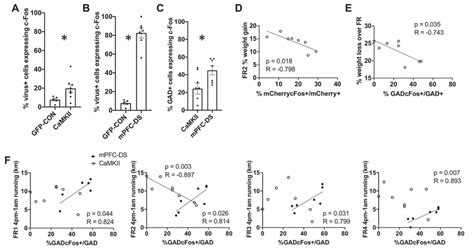 Quantification Of C Fos Gad And Mcherry Reveals Microcircuitry