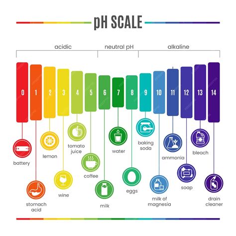 평면 디자인 Ph 규모 Infographic 무료 벡터