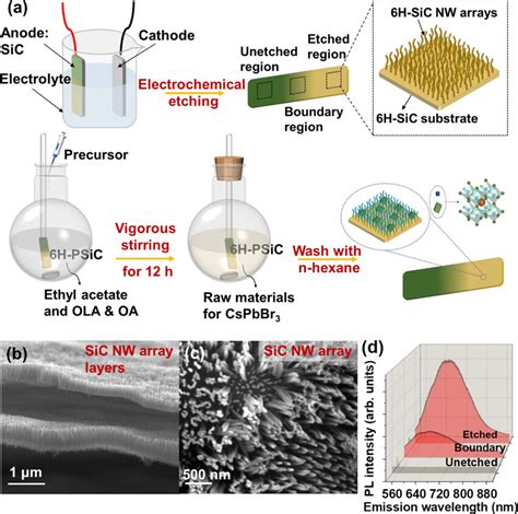 A Schematic Diagram Showing Fabrication Of Monolithic Sic Nw Arrays Download Scientific