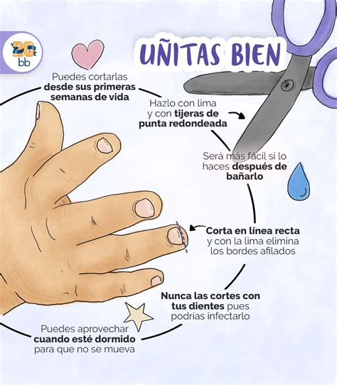 Cómo cortarle las UÑAS a tu bebé Cuidados de bebes Salud del bebé Educación del bebé