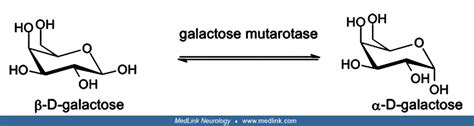 Galactosemia Medlink Neurology