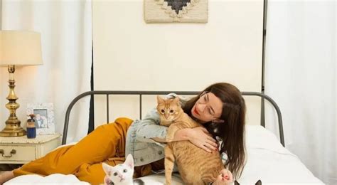 比起男主人，猫咪更喜欢女主人，为什么呢？ 喵百科 上亦科技