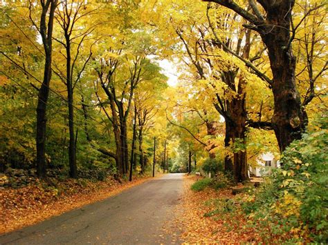 Autumn Scenery Desktop Wallpaper