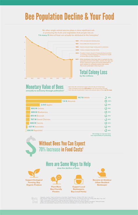 Bee Data Visualization Behance