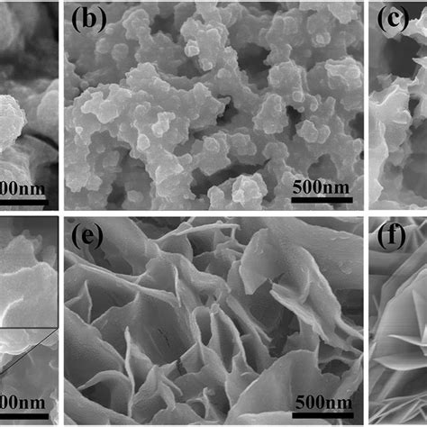 Sem Images Showing The Morphologies Of A Fe Co 1 0 B Fe Co 2 1 C Download Scientific